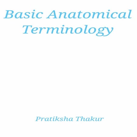 Basic Anatomical Terminologies | PDF