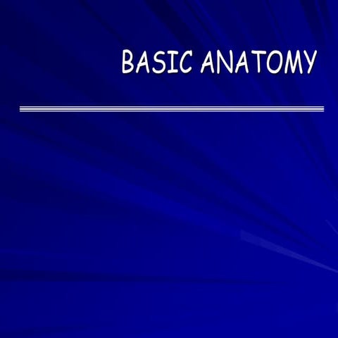 B asic anatomy SEMESTER 2 kd 2 anatomy | PPTX