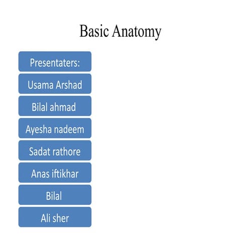 Basic Anatomy of human bodies and there classification.pptx
