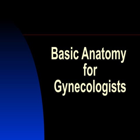 Basic anatomy 1 | PPT