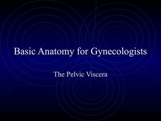 Pelvic anatomy poster | PDF