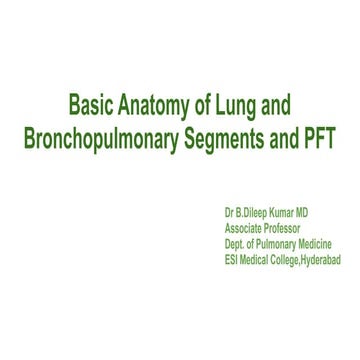 HRCT LUNG-BASIC INTERPRETATION | PPT