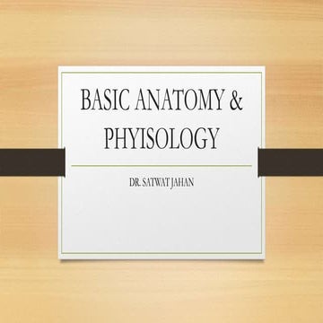 BASIC ANATOMY .pptx