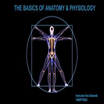 Basic human anatomy 1 (7616) | PPTX