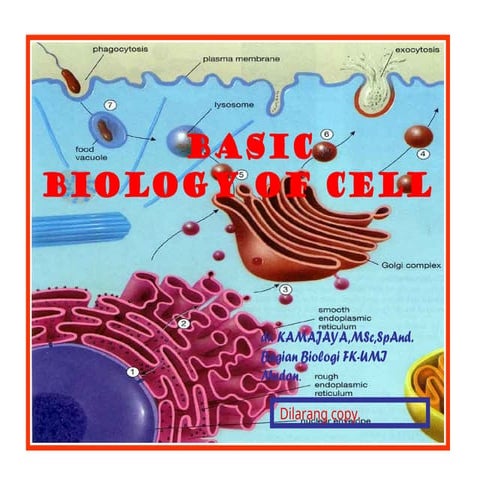 BASIC BIOLOGY OF CELL 2012.pptSVSSSSSSSSSSSSSSSSS | PPT