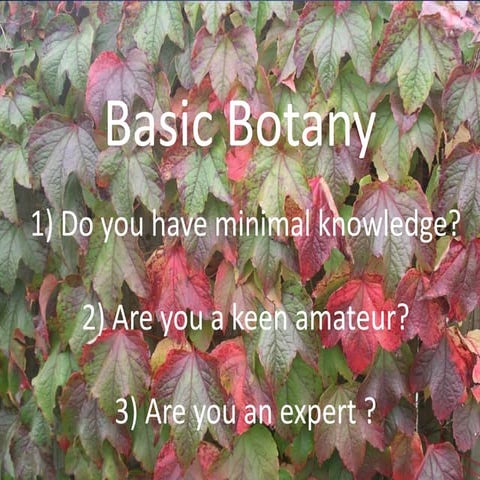 Basic botany | PPTX