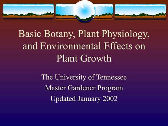 Types of stem by Sarah Ashfaq , Botanist | PPTX