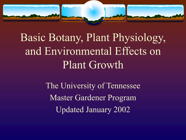 Plants and their Functions Powerpoint | PPTX
