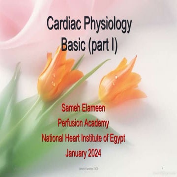 Presentation on hemodynamics | ODP