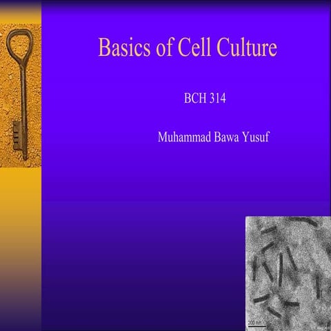 basic cell culture 314 2023.ppt