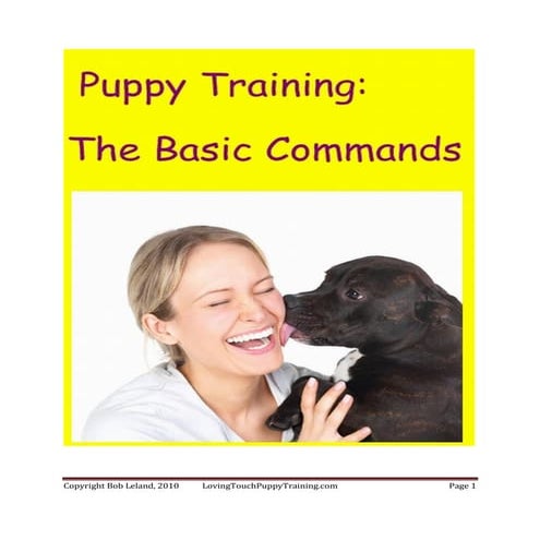 Basic commands ebook | PDF