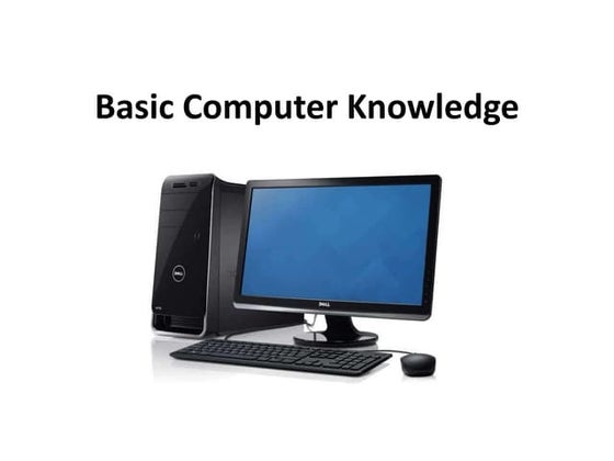 Input Output device of computer.pdf