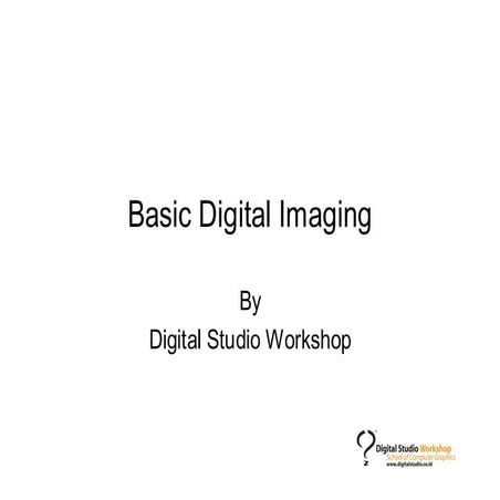 Basic Digital Imaging | PDF