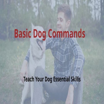 Basic Dog Commands Teach Your Dog Essential Skills.pptx