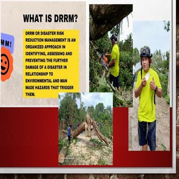 Basic Disaster Risk Reduction and Management Concepts | PPTX