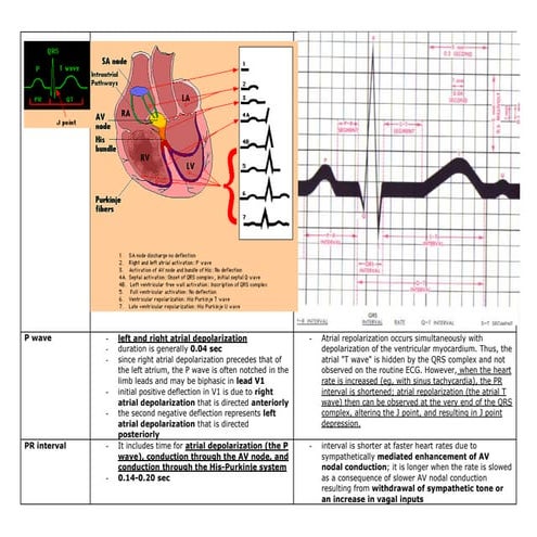 Basic ecg | PPT