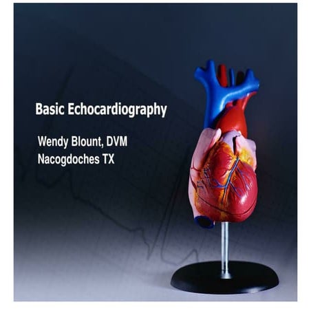 Basic Echocardiography | PDF
