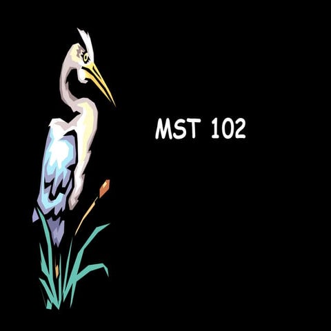 Basic Ecology Notes for Introduction to ENVIRONMENTAL SCIENCE | PDF