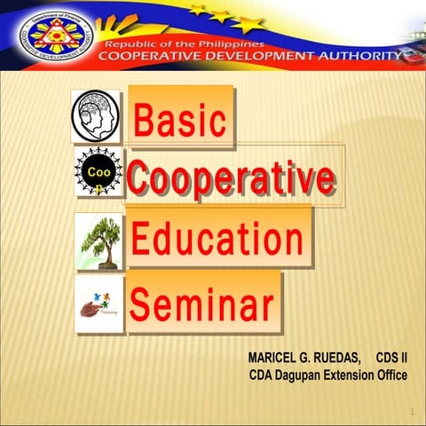 Implementing Rules and regulations of RA 9520 | PPT