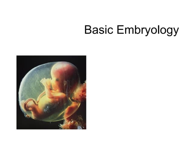 PPT on Embryological and fetal development | PPTX