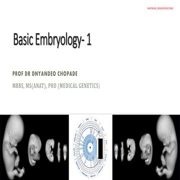 Basic embryology 1- Gametogenesis | PPTX