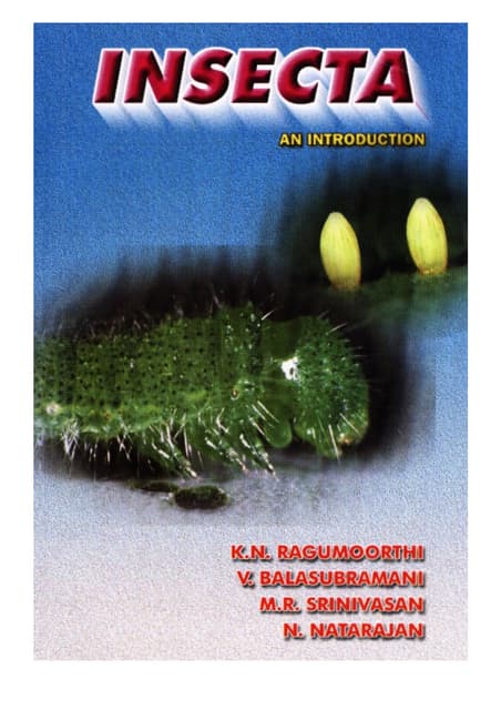 Insects powerpoint | PPTX | Beekeeping | Hobbies & Interests