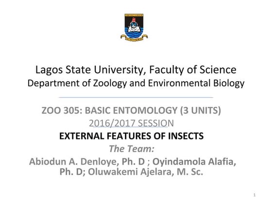 Insect Legs And Its Modifications Pdf