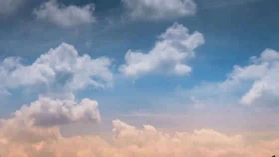 Jose Garcia Villa ( The Bashful one, First, A poem must be magical and ...