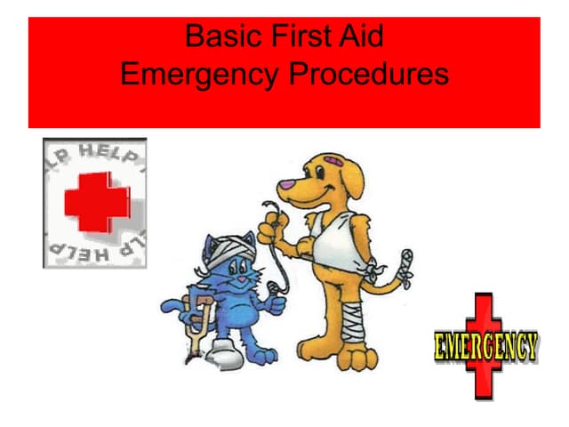 Basic First Aid Ppt