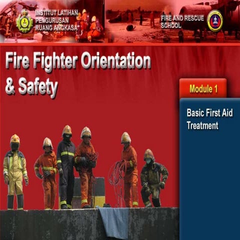 Basic first aid treatment | PPTX