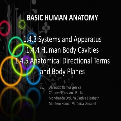 Basic human anatomy | PPTX | Biological Sciences | Science