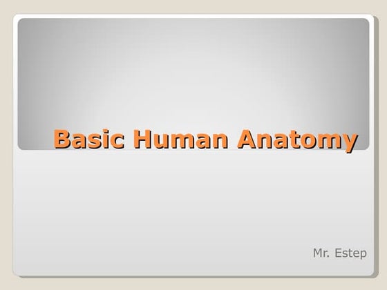 Introduction to Human Anatomy | PPTX | Lung and Respiratory Health ...