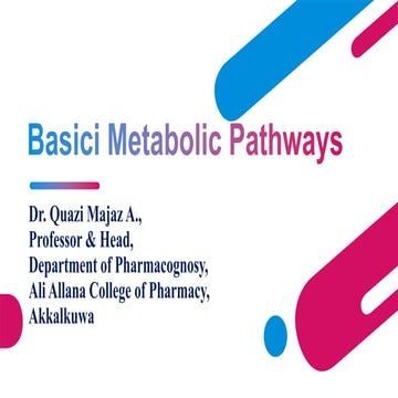 Basici Metabolic Pathways.pptx