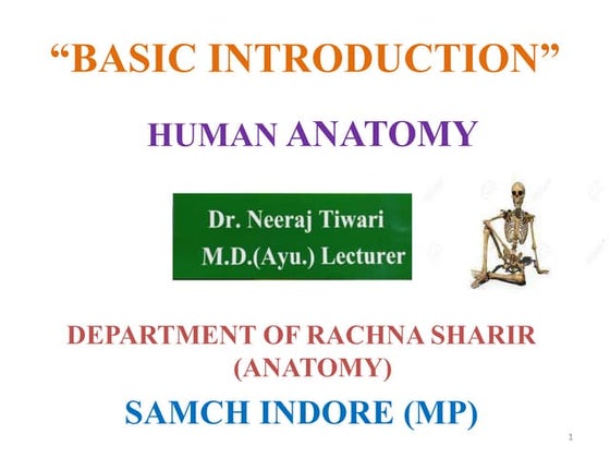 Anatomy of lower limb | PPT