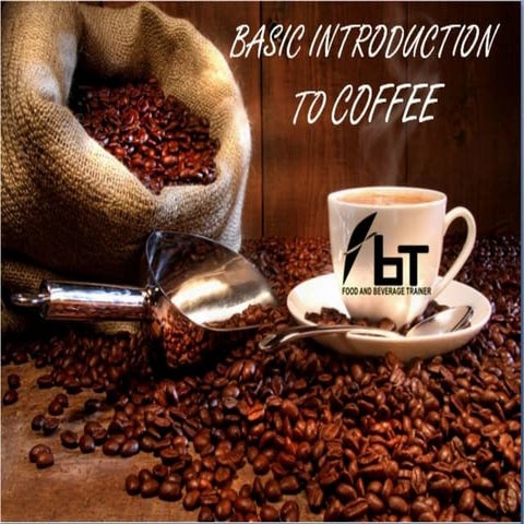 Coffee - Basic Introduction | PDF