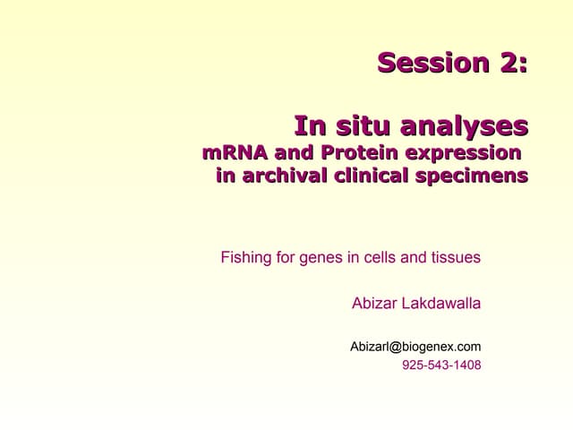 In situ hybridization | PPTX