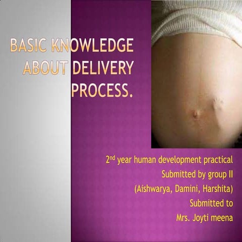 Basic knowledge about delivery process | PPTX