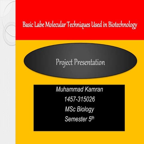 Basic labe molecular techniques used in biotechnology.....made by ...