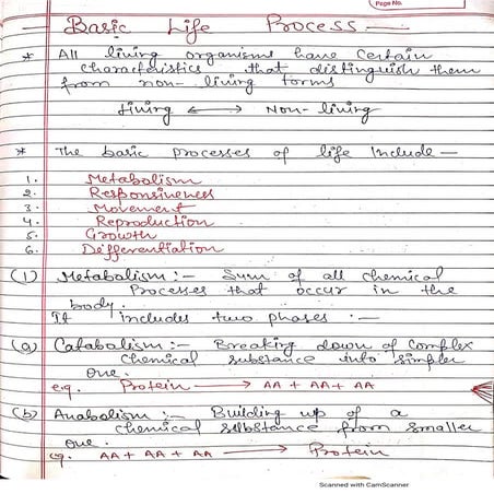 Basic life process.pdf