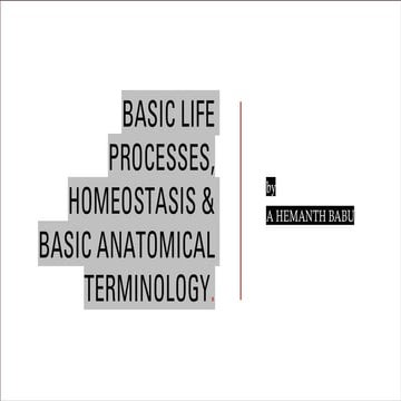 BASICLIFE PROCESS,homeostasis, basic anatomical terminology..pdf