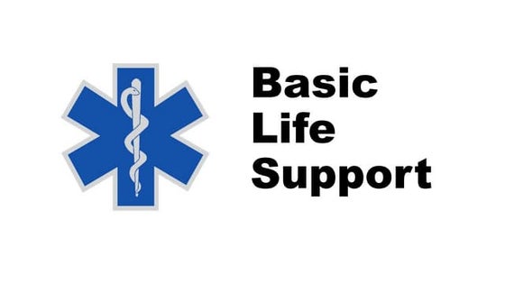 Basic Life Support & First Aid | PPTX | First Aid | Injuries