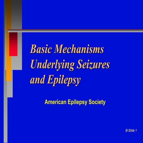 Physiopathology of epilepsy | PDF