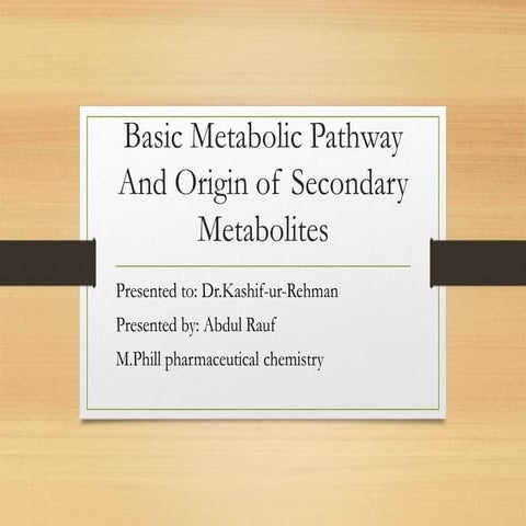 Basic Metabolic Pathways and origin of secondary metabolites.pptx