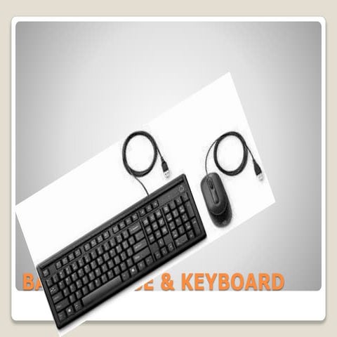 1.3 Mouse Training Presentation.pptx