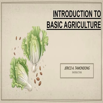 BASICS IN AGRICULTURE AND UNDERSTANDING THE SCOCE.pptx