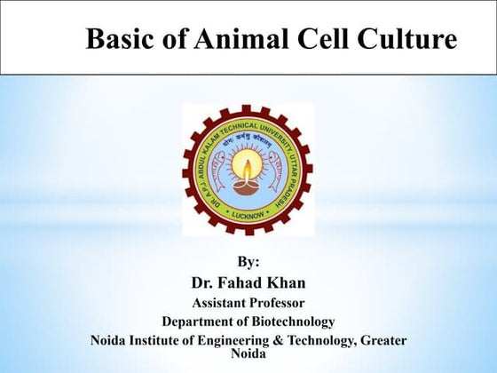 Mammalian cell culture, basic techniques | PPT