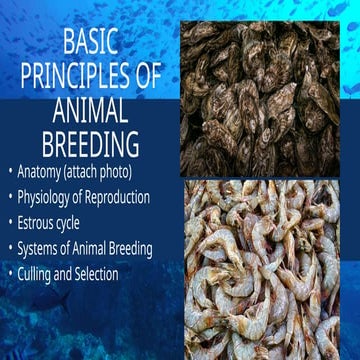 Basic Principles of Animal Breeding.pptx