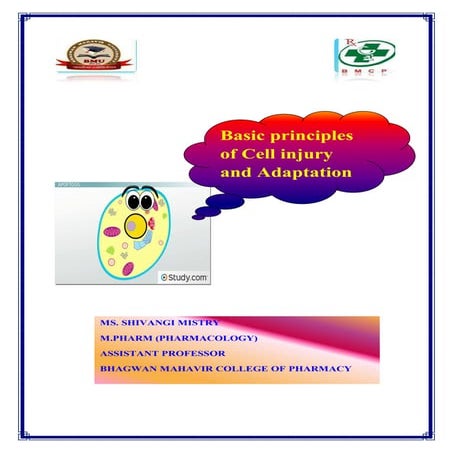Basic principles of cell injury and adaptation | PDF