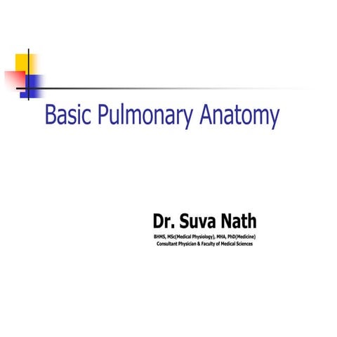 Basic Pulmonary anatomy, Physiology of respiratory system | PPTX