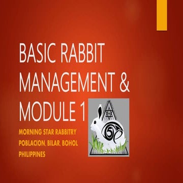 Basic Rabbit Training Module 1.pptx